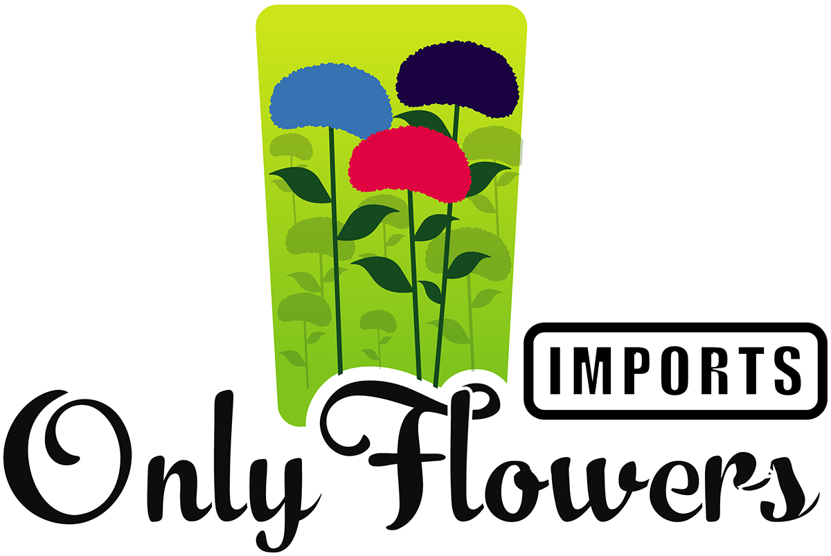 About Us - Only Flowers - Our Company